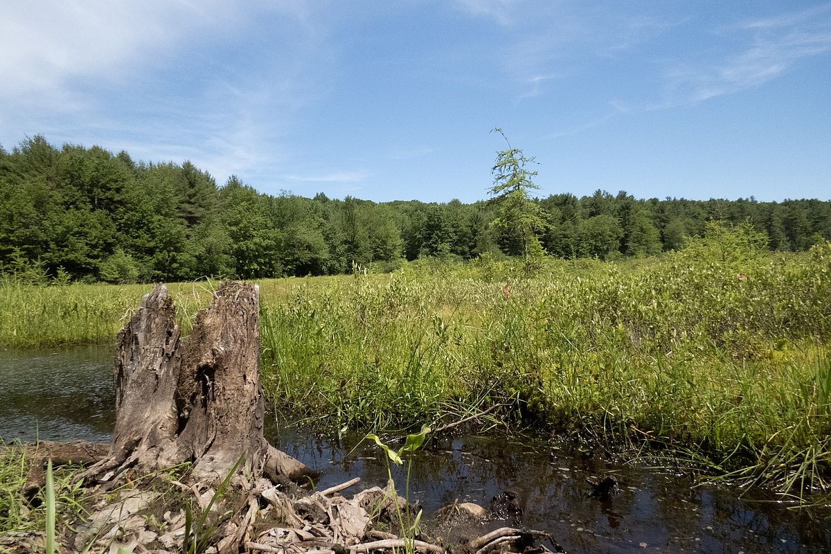 Rich in Natural Resources - Monadnock Conservancy