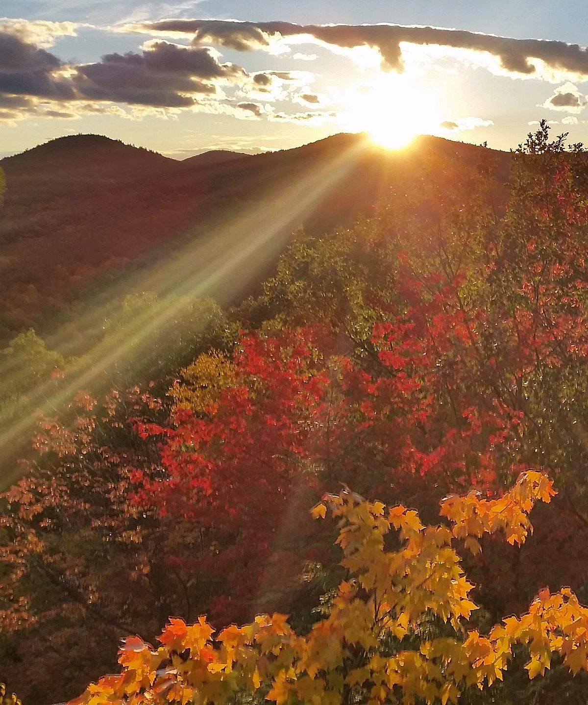 Leaf Peepers unite for Conservation! - Monadnock Conservancy