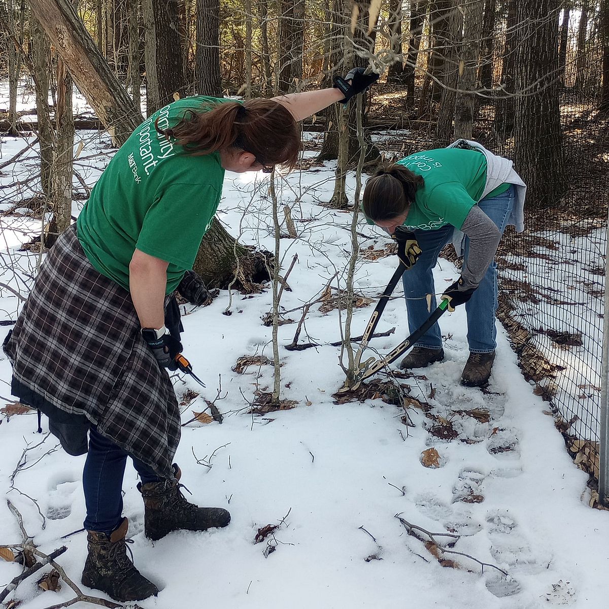 M&T Bank Volunteer Day at Maynard Forest! - Monadnock Conservancy