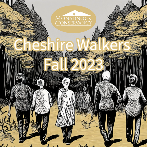 Home - Monadnock Conservancy