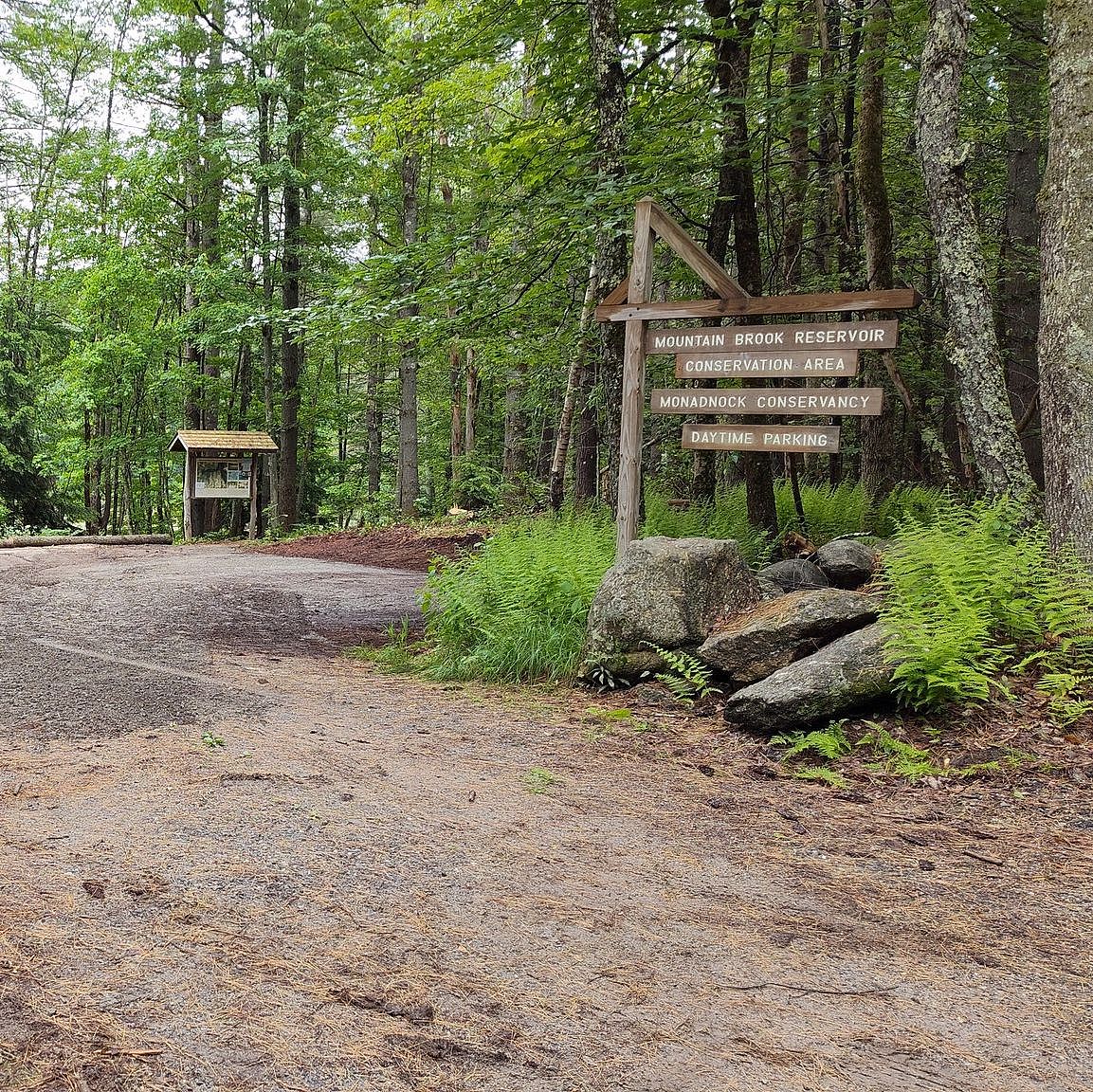 Recreation spotlight: Cutting out invasives and improving walkability ...