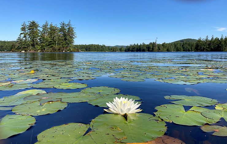 Ensure these Islands' Future - Monadnock Conservancy